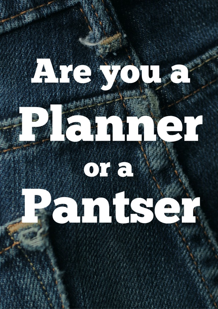 Planner vs. Pantser – Story Planner Blog